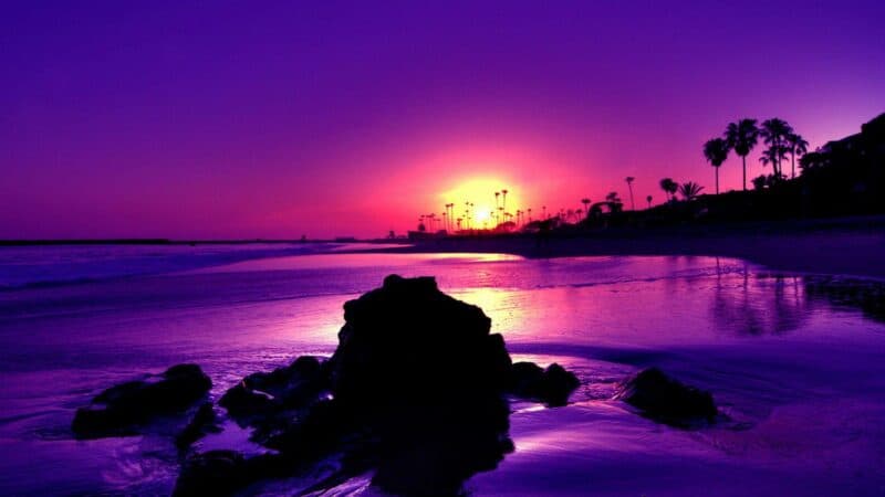 Purple Background - PixelsTalk