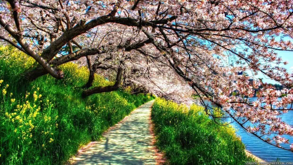Spring Landscape Wallpapers - PixelsTalk