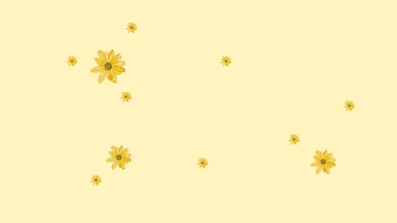 Minimalist Spring Wallpaper HD - PixelsTalk