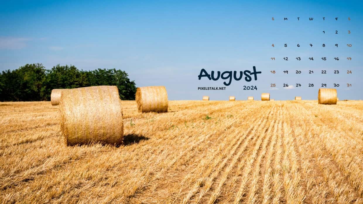August 2024 Calendar Desktop Background - PixelsTalk