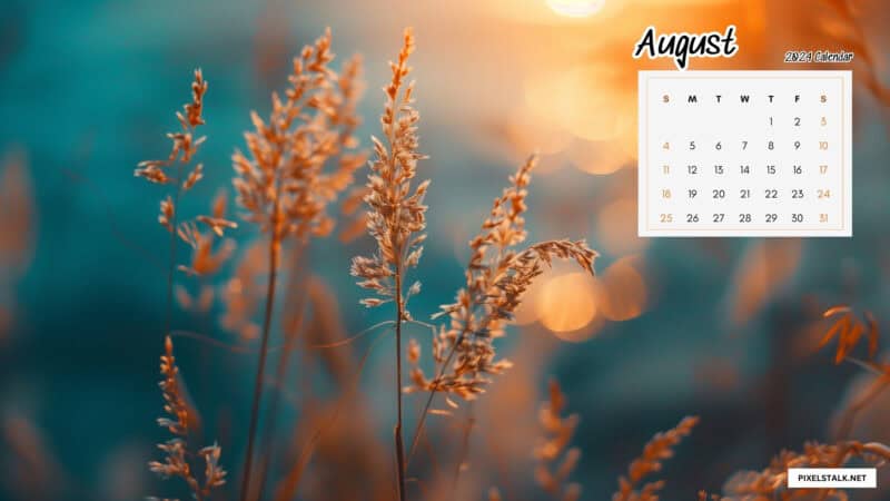 August 2024 Calendar Desktop Wallpapers HD - PixelsTalk