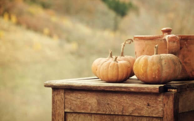 Fall Pumpkin Backgrounds Free Download