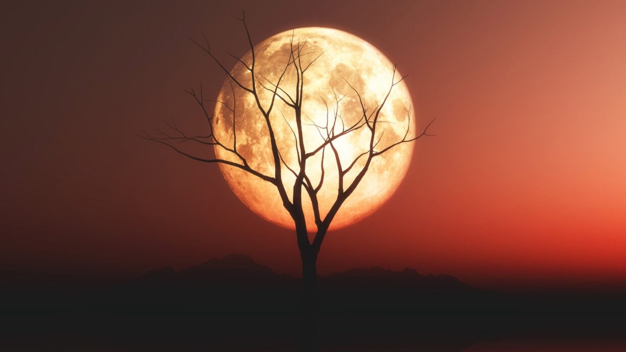 Nice Wallpapers HD - PixelsTalk