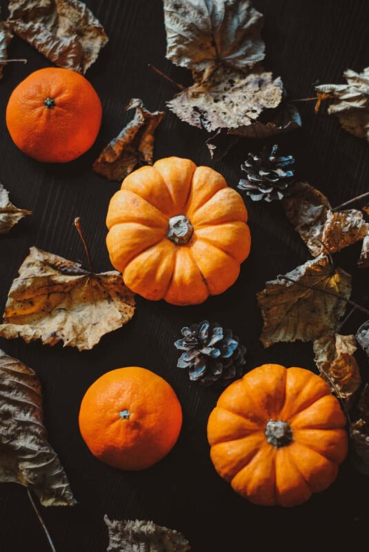 Fall Pumpkin Backgrounds - PixelsTalk