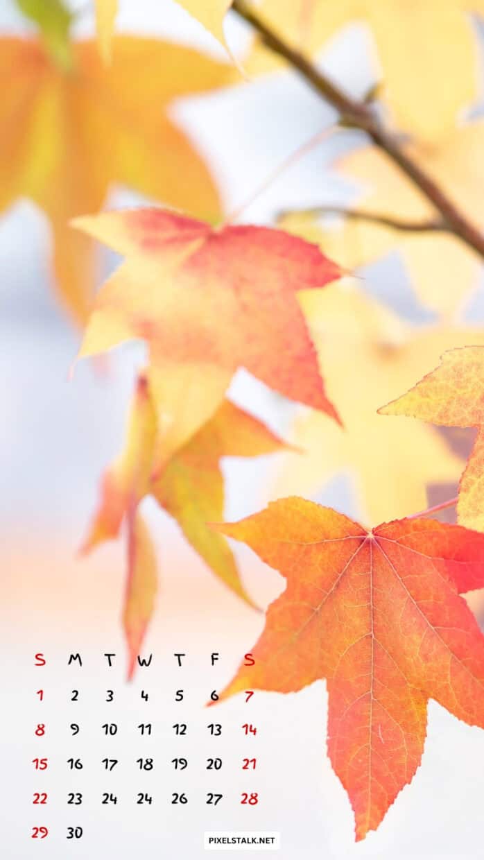 September 2024 Calendar iPhone Wallpapers for Mobile devices - PixelsTalk