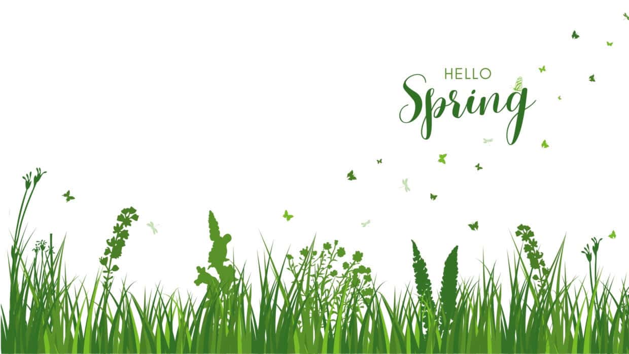 Cute Spring Computer Wallpapers HD - PixelsTalk