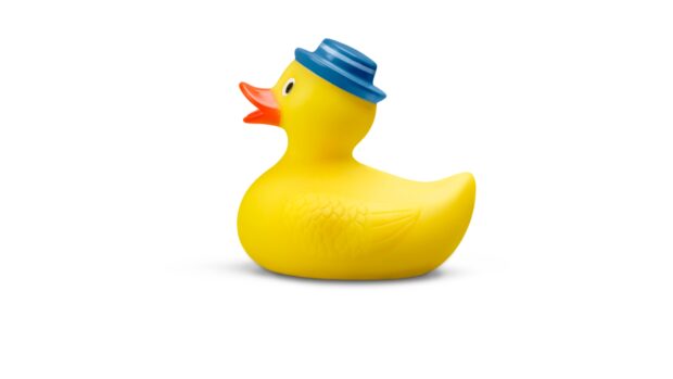 Duck Wallpapers HD - PixelsTalk