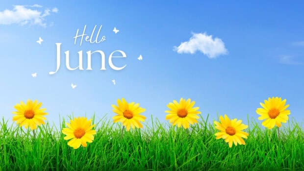 June Wallpapers HD - PixelsTalk