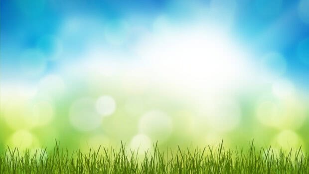 Nice Wallpapers HD - PixelsTalk