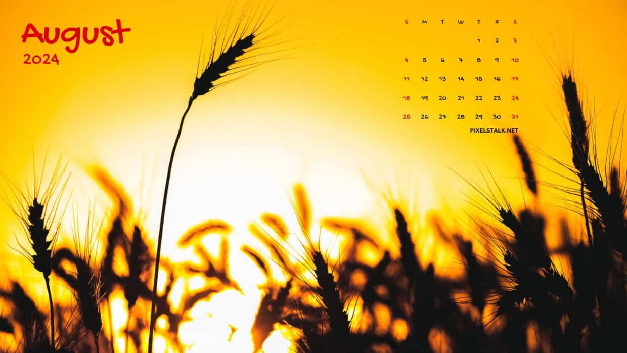 August 2024 Calendar Desktop Background - PixelsTalk