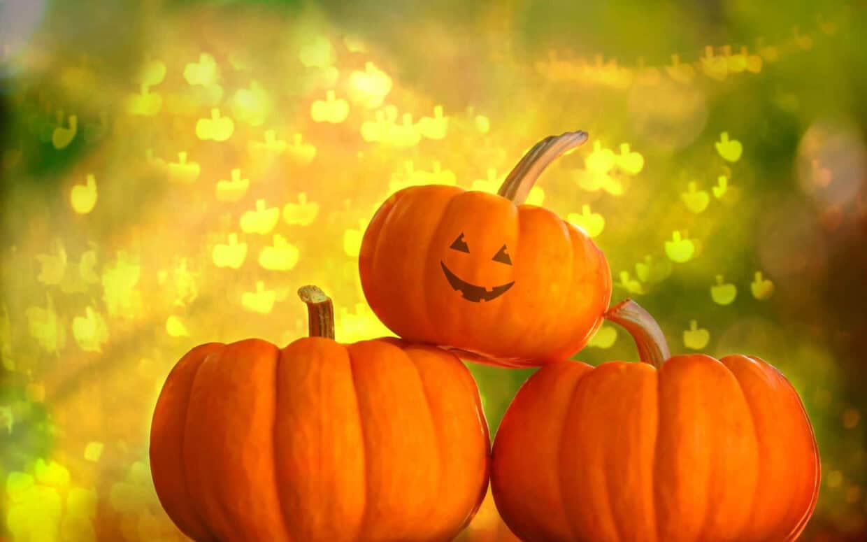 Fall Pumpkin Backgrounds - PixelsTalk