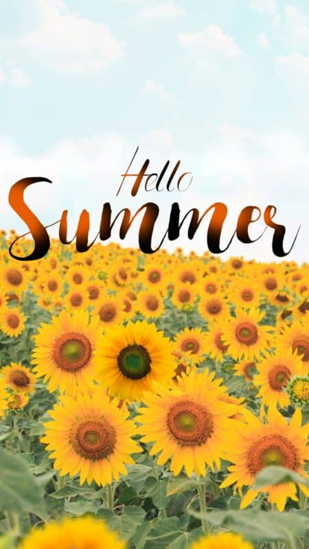 Hello Summer Wallpapers HD - PixelsTalk
