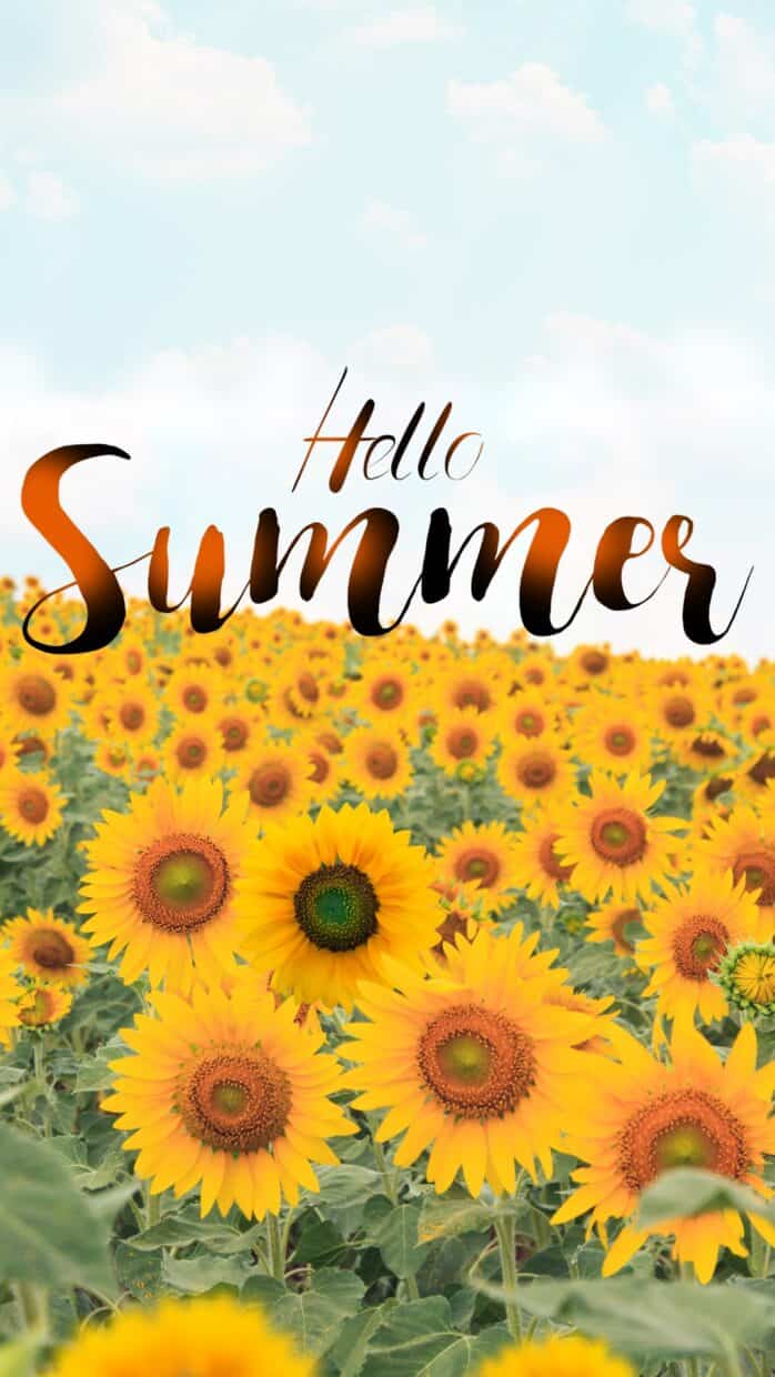 Hello Summer Wallpapers HD - PixelsTalk