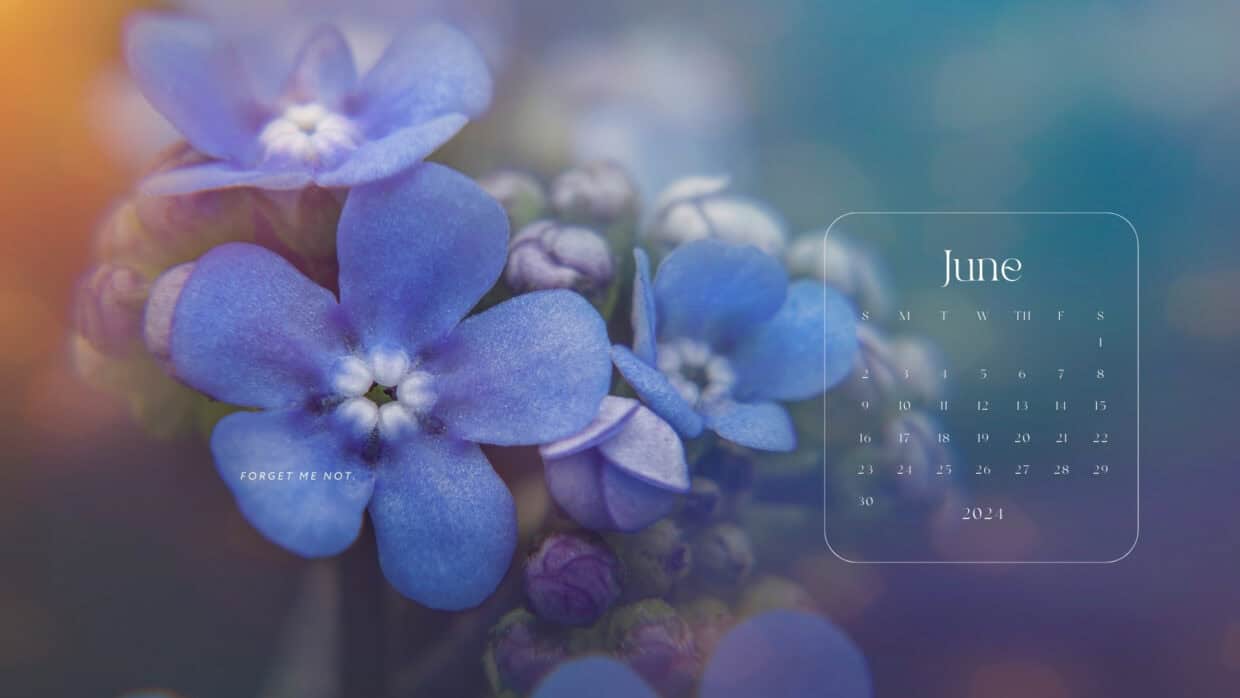 June 2024 Calendar Backgrounds for Desktop PC - PixelsTalk