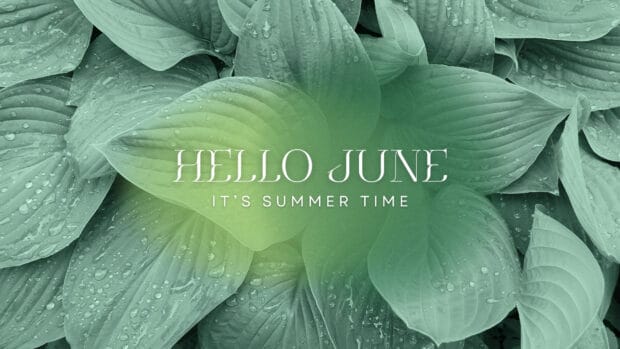 June Wallpapers HD - PixelsTalk