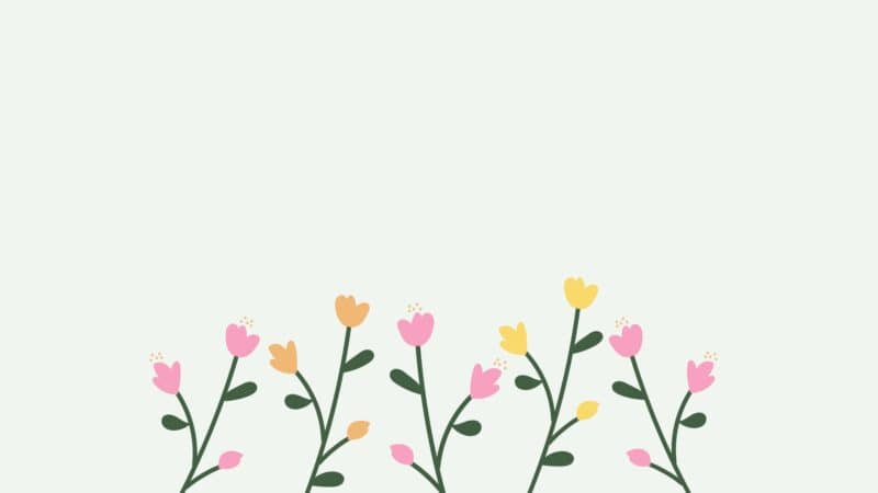 Minimalist Spring Wallpaper HD - PixelsTalk