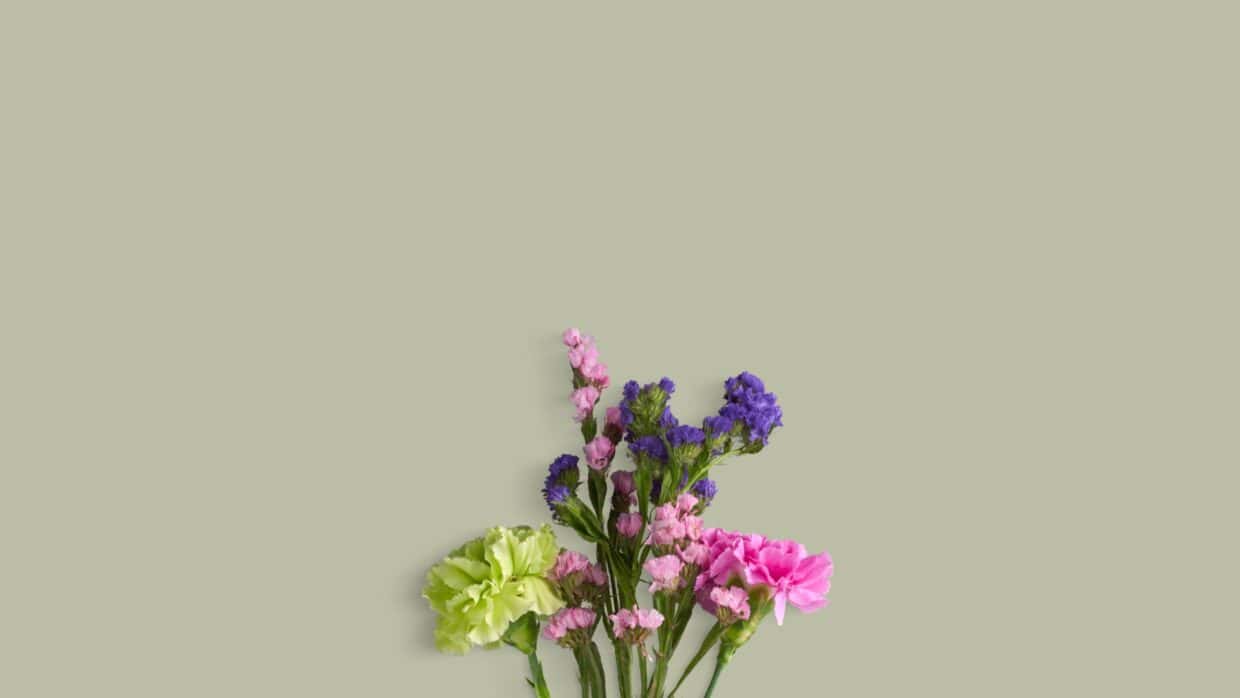 Minimalist Spring Wallpaper HD - PixelsTalk