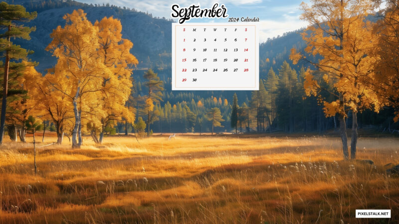 September 2024 Calendar Desktop Wallpapers HD - PixelsTalk