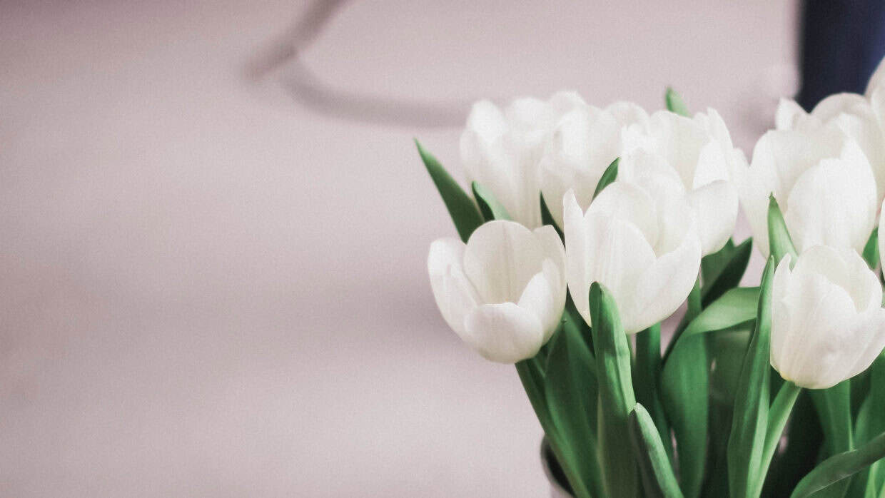 Spring Desktop Wallpaper HD - PixelsTalk
